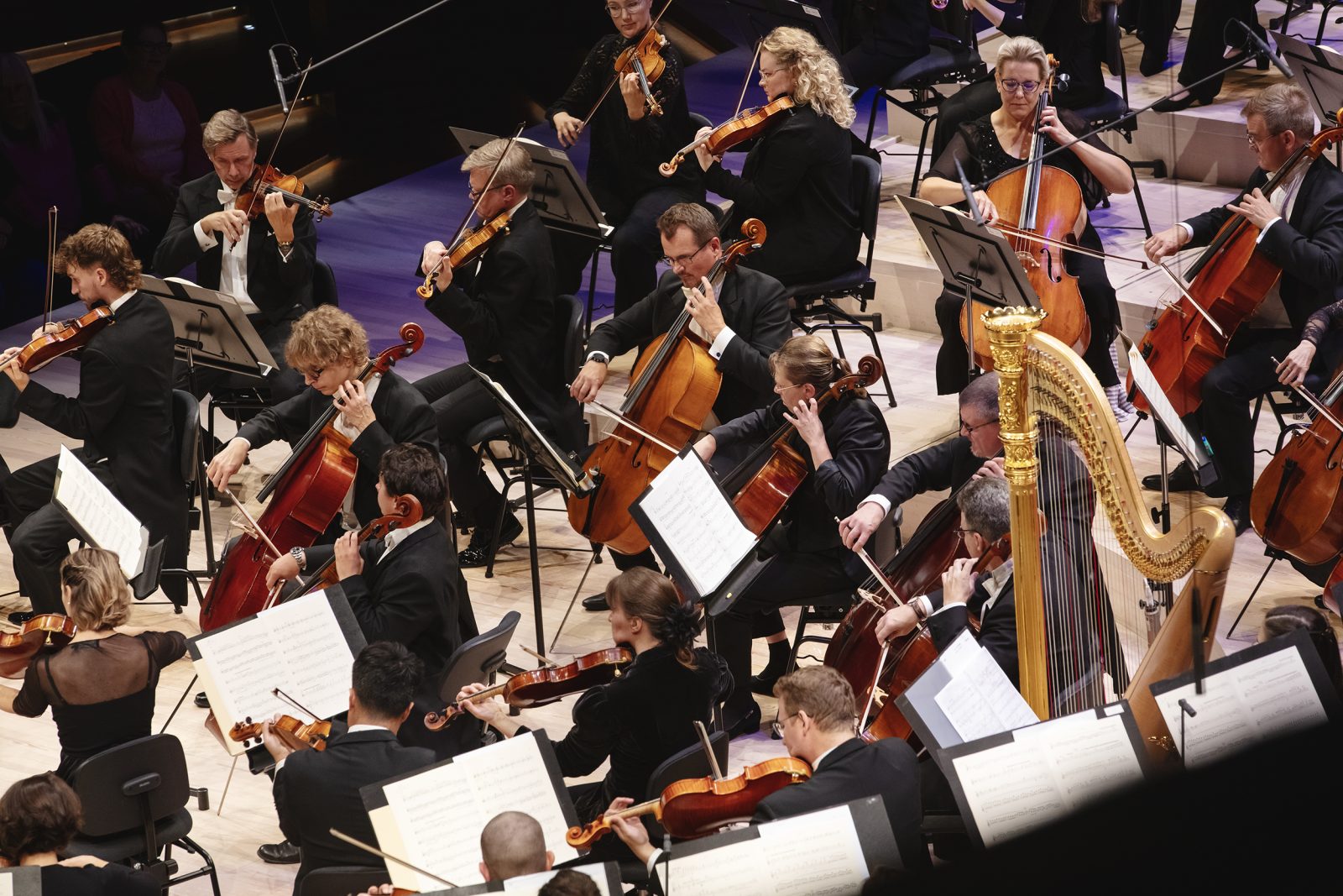 Andrew Lloyd Webberin Symphonic Suites - Kansallisooppera ja -baletti